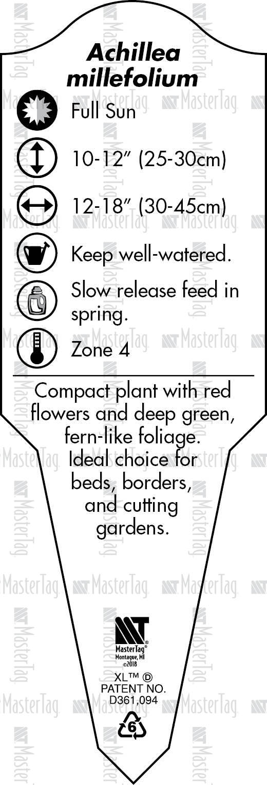 Achillea SUN-N-FUN™ Red MasterTag XL Stake Tag