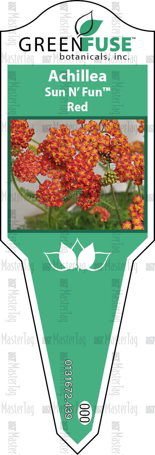 Achillea SUN-N-FUN™ Red MasterTag XL Stake Tag