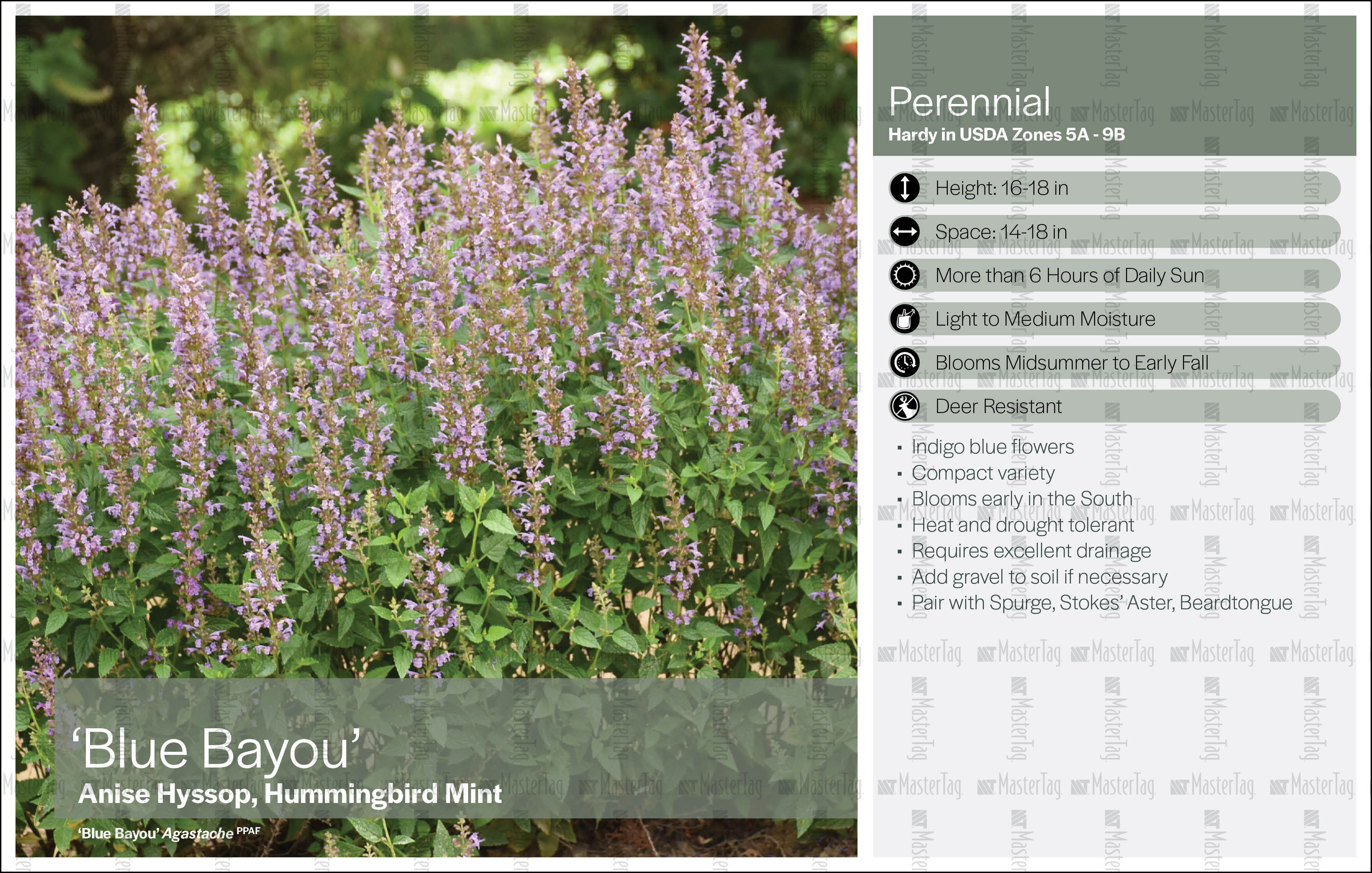 Plant Labels, Tags, Stakes Printer for Horticulture Industry