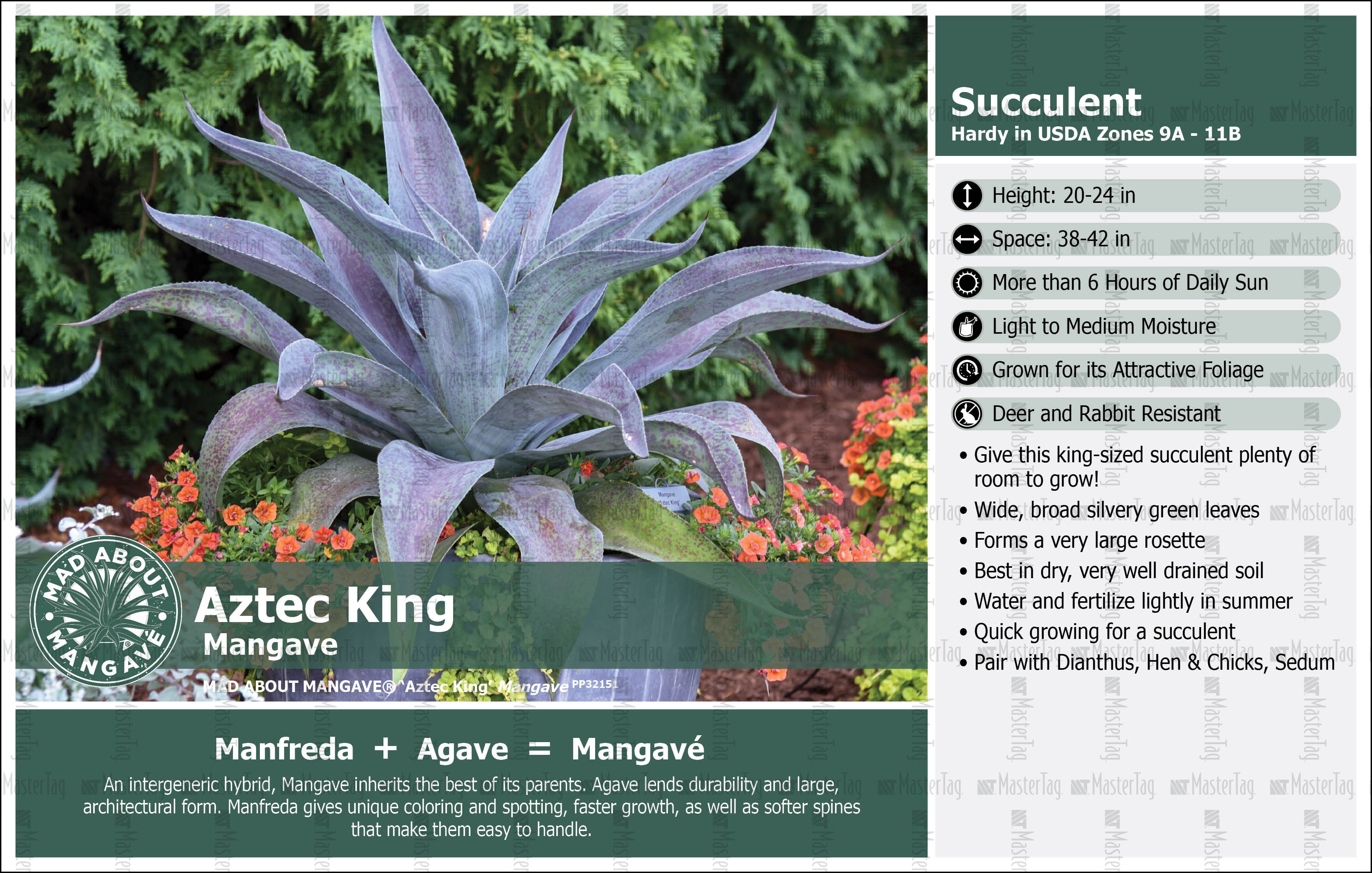 Plant Labels, Tags, Stakes Printer for Horticulture Industry