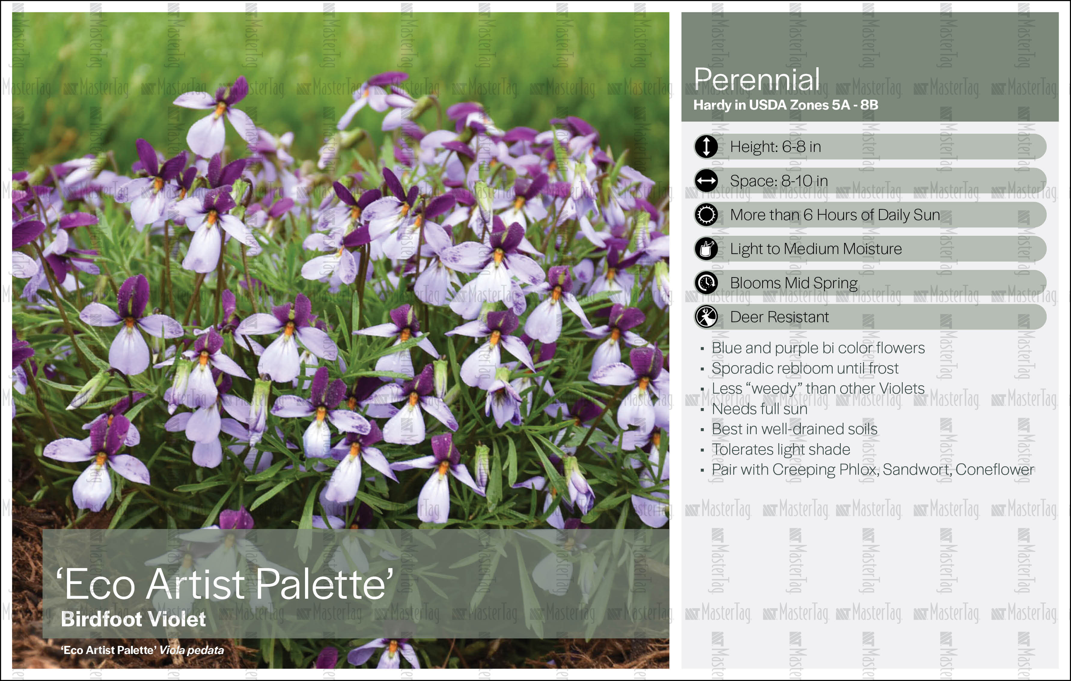 Plant Labels, Tags, Stakes Printer for Horticulture Industry