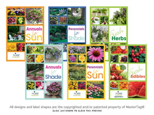 XL Designer Series Poster Set