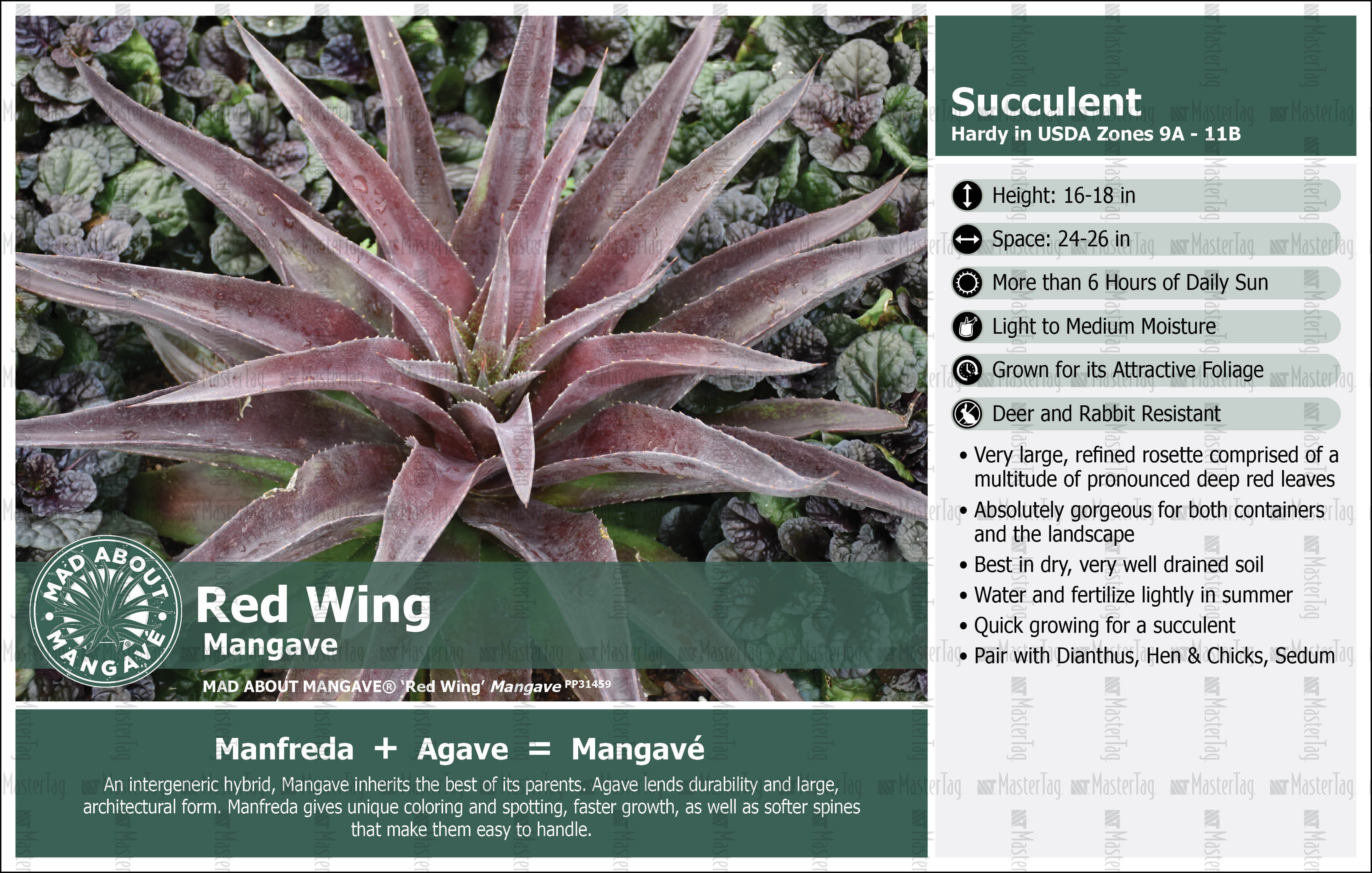 Plant Labels, Tags, Stakes Printer for Horticulture Industry