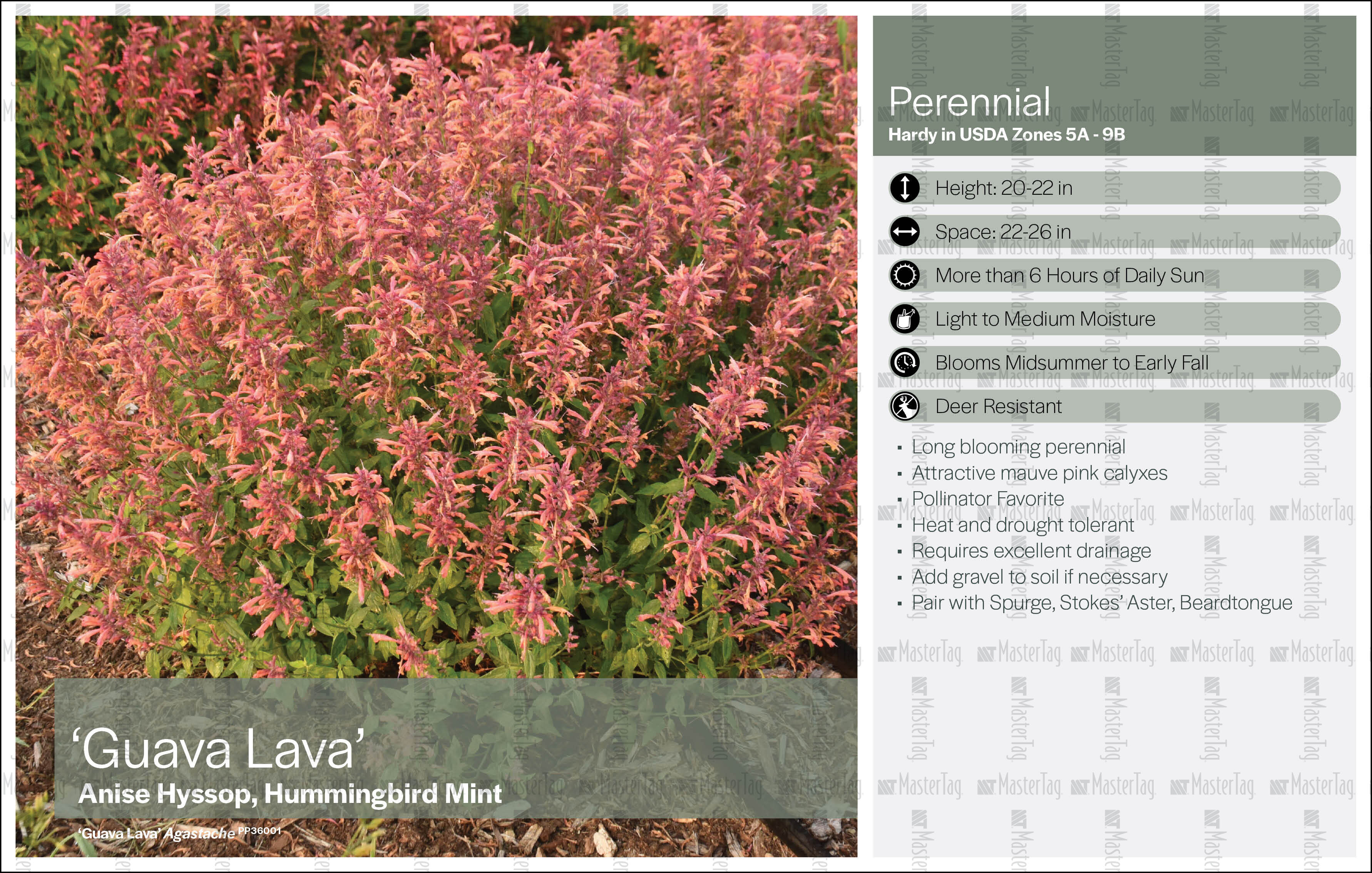 Plant Labels, Tags, Stakes Printer for Horticulture Industry