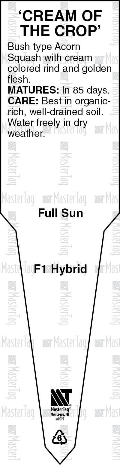 Acorn Squash 'Cream of the Crop' Master Tag Stake Tag