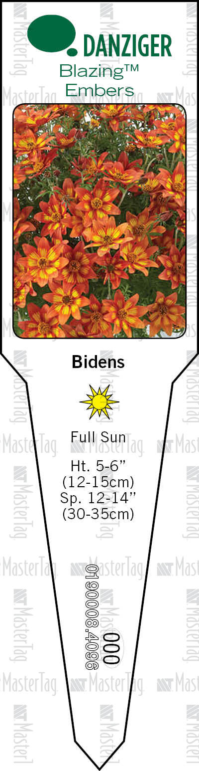 Bidens Blazing™ Embers Master Tag Stake Tag