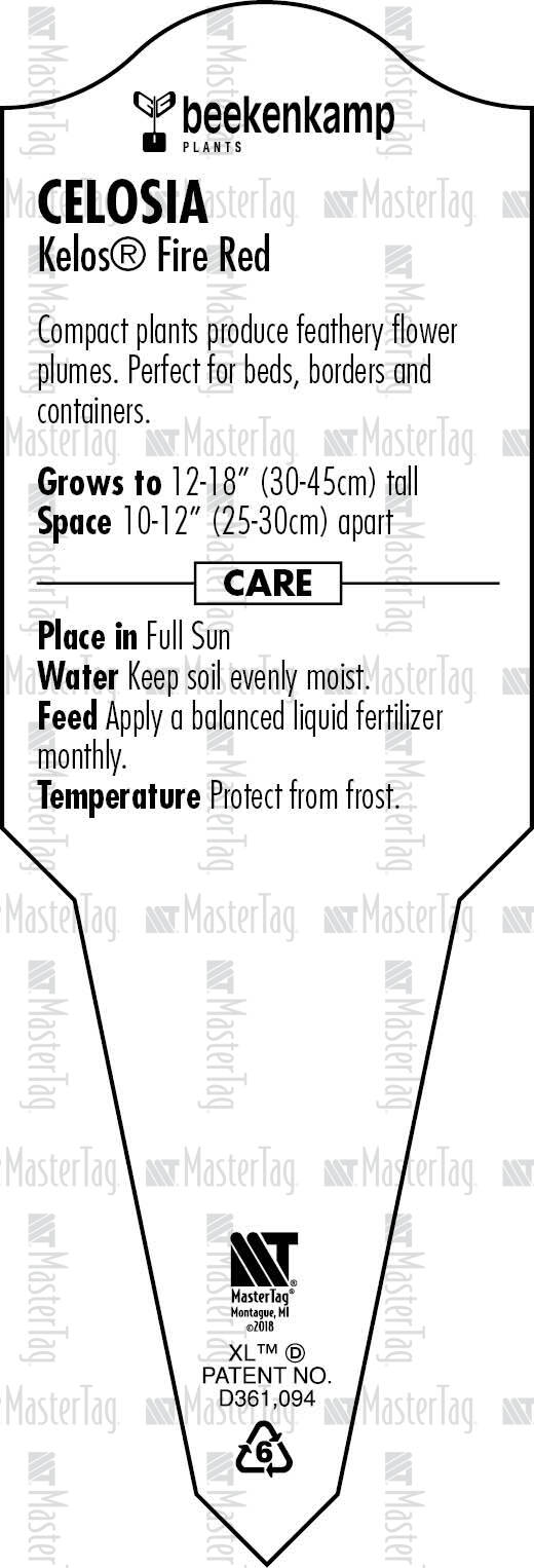 Beekenkamp Celosia Kelos® Fire Red MasterTag XL Stake Tag