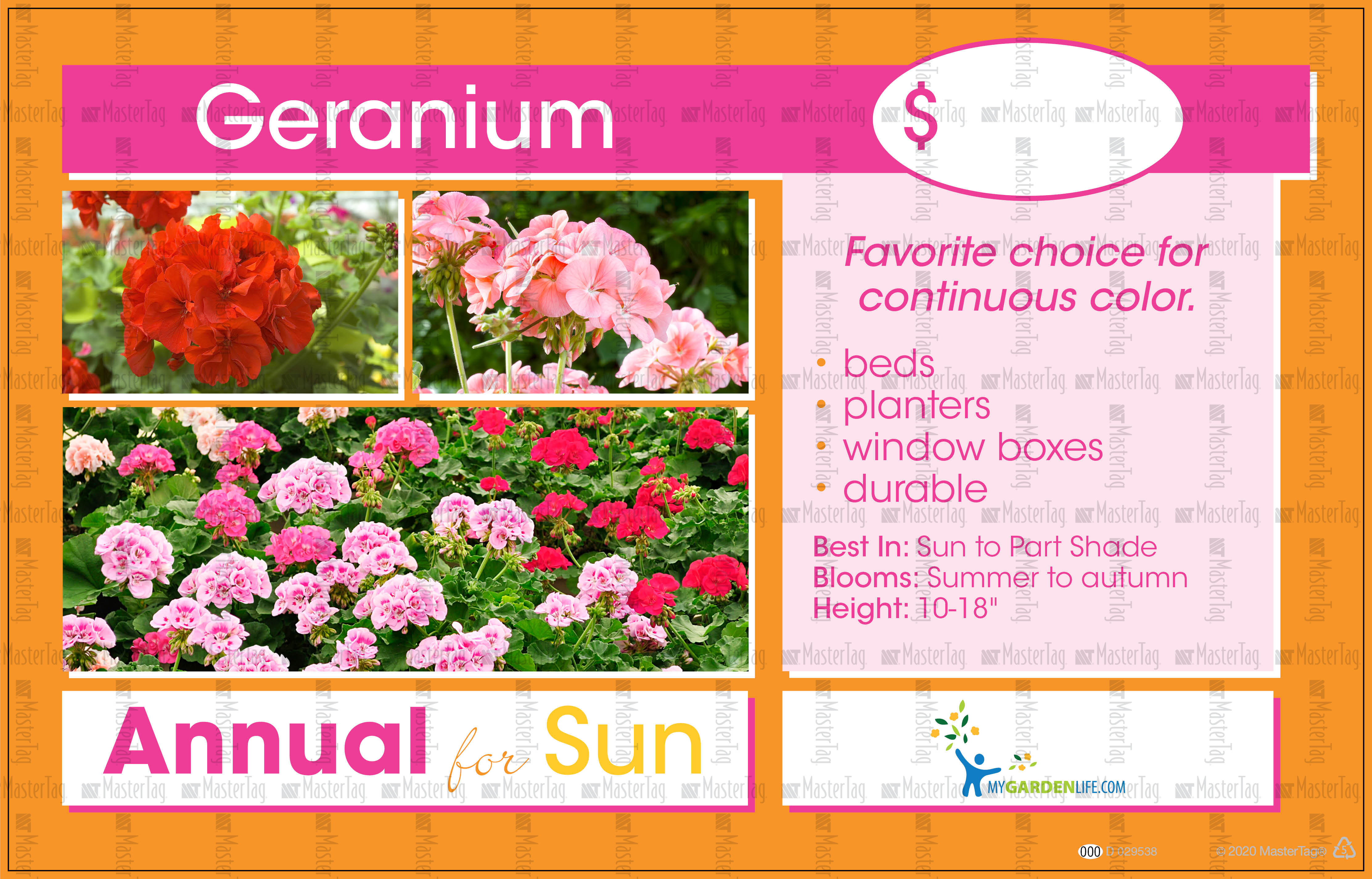 XL™ Designer Series Geranium Display Card