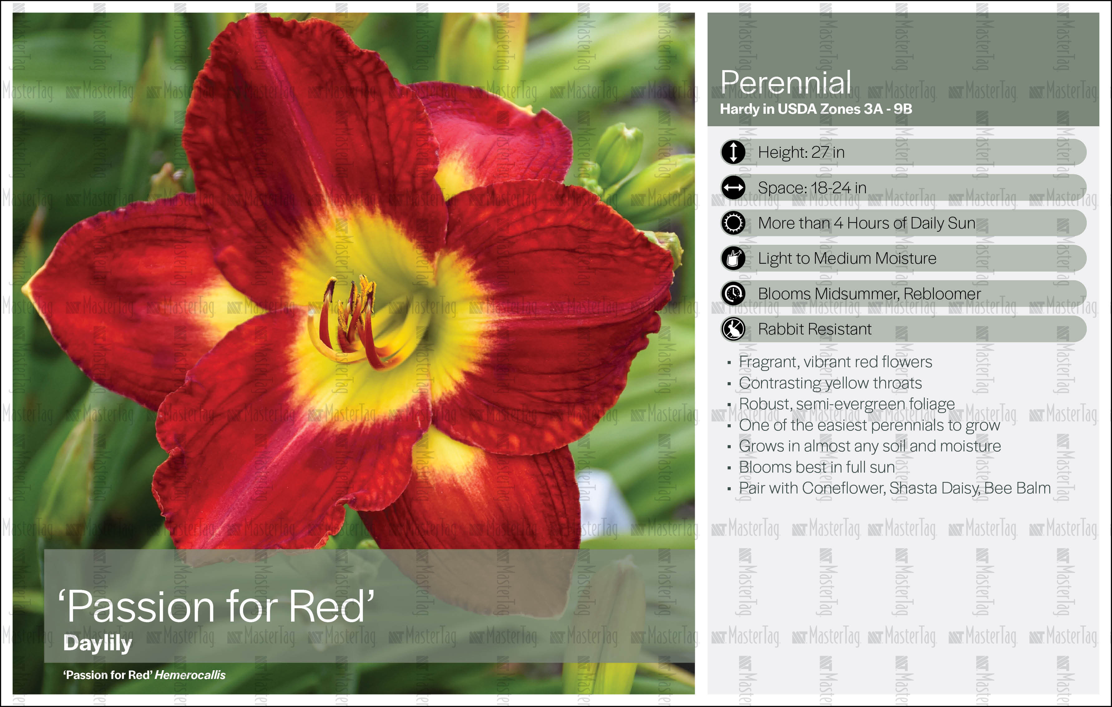Plant Labels, Tags, Stakes Printer for Horticulture Industry