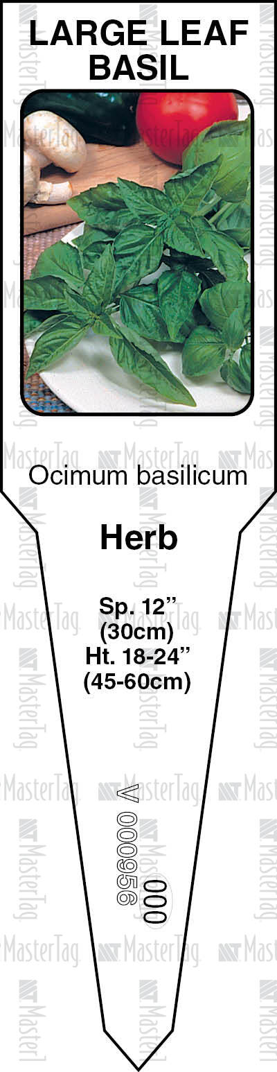 Large Leaf Basil Master Tag Stake Tag