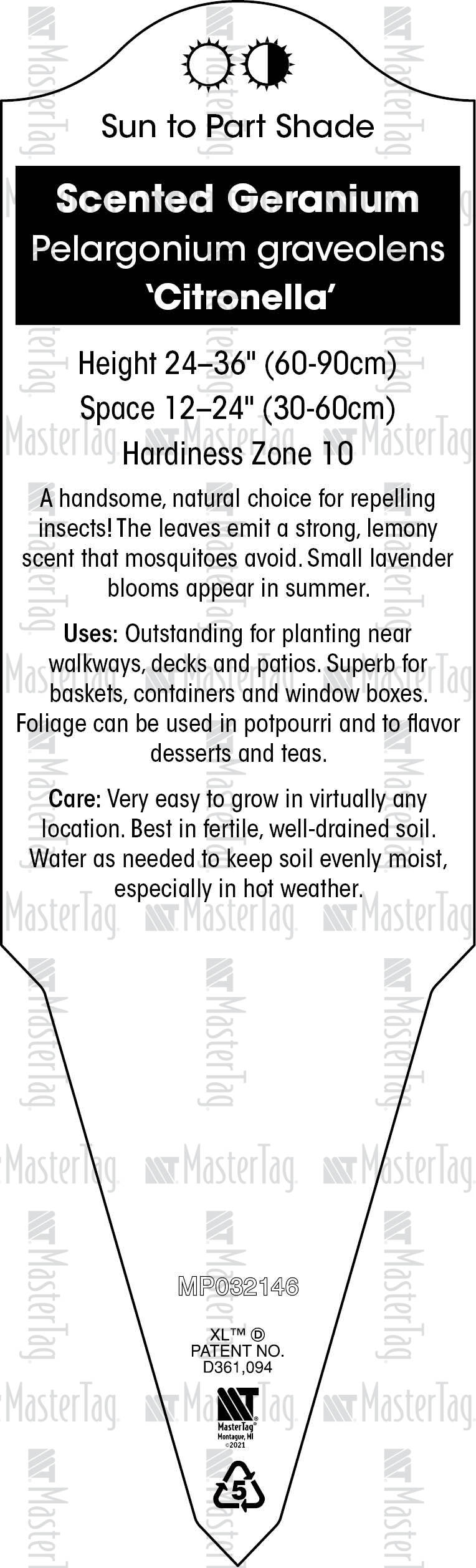 Mosquito Plant 'Citronella' Gardener's XL Stake Tag