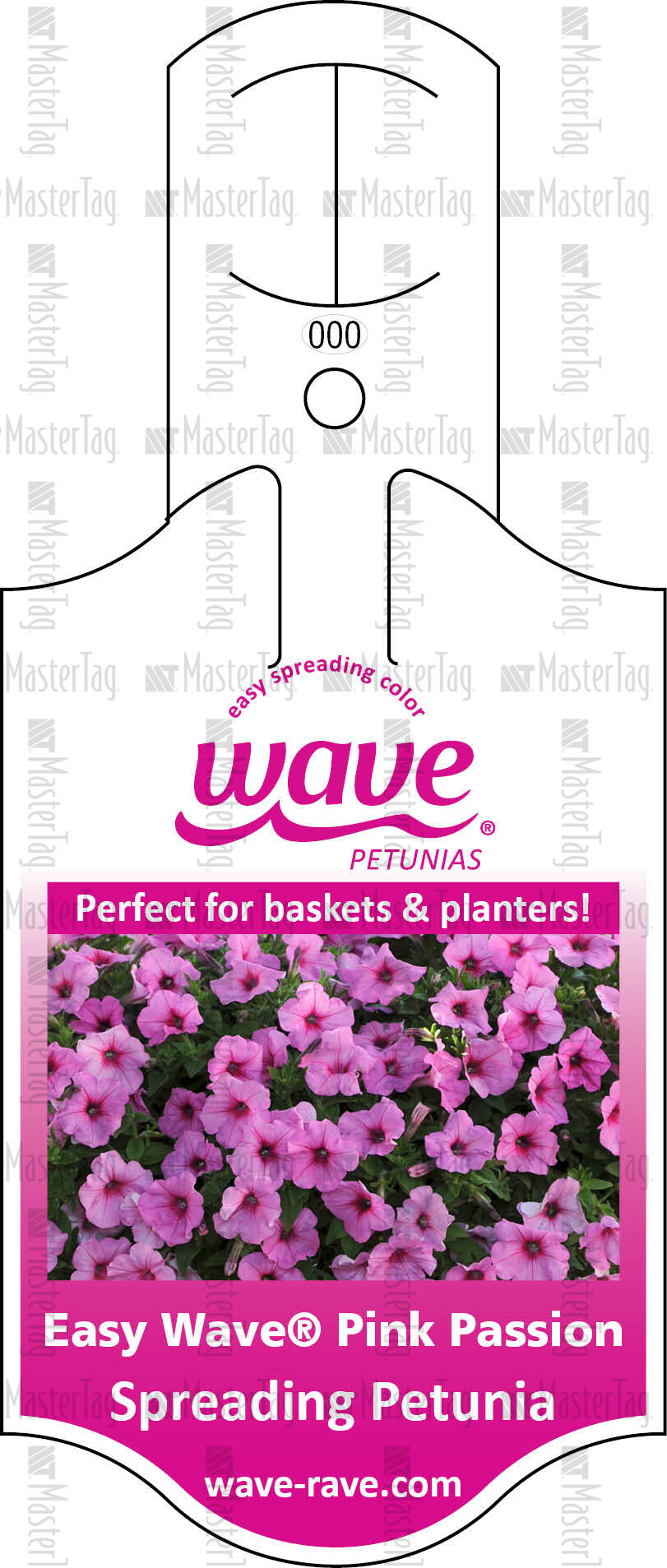 Petunia Easy Wave® Pink Passion Small XL Hang Tag