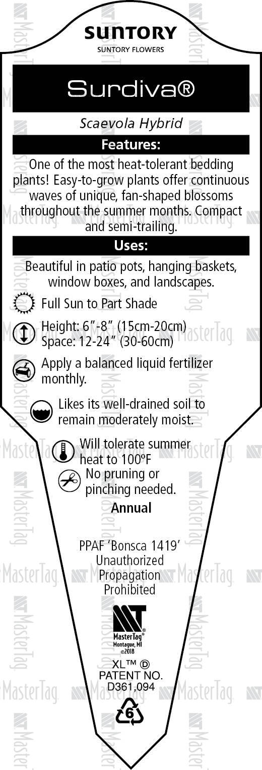 Suntory Flowers Scaevola Surdiva® Sky Blue MasterTag XL Stake Tag