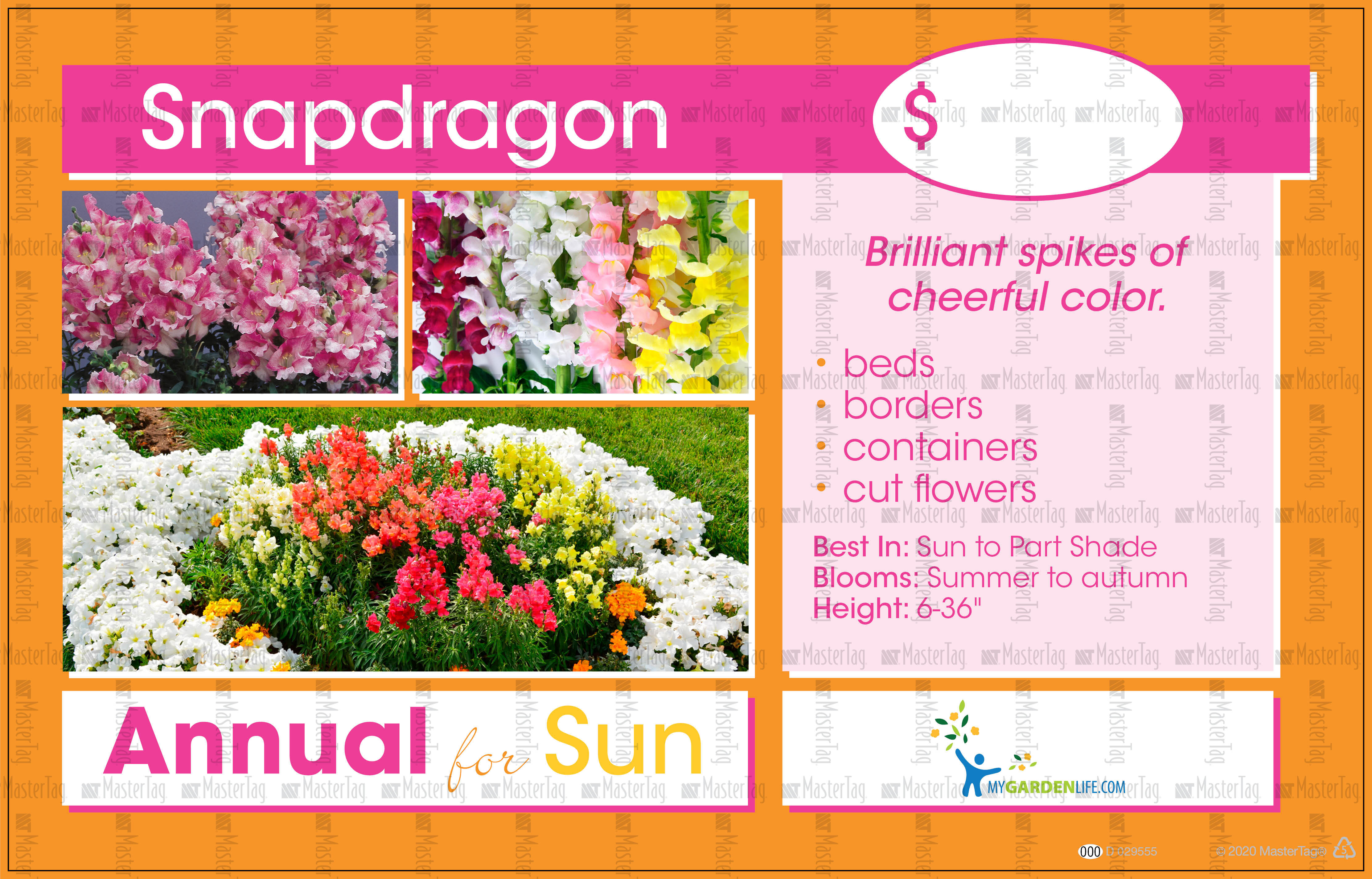 XL™ Designer Series Snapdragons Display Card