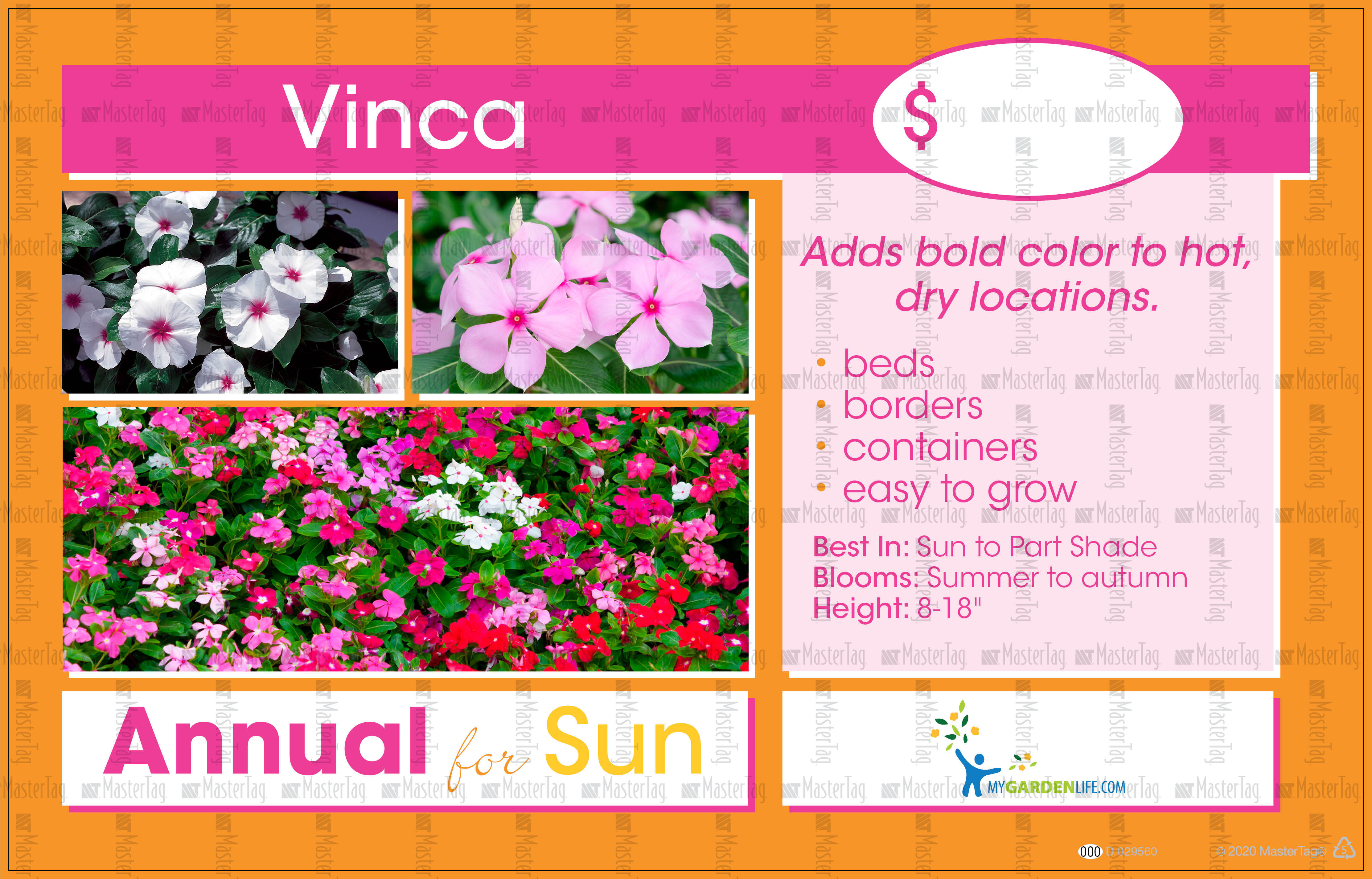XL™ Designer Series Vinca Display Card
