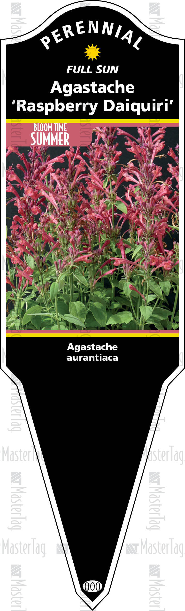 Agastache 'Raspberry Daiquiri' Gardener's XL Improved Stake Tag