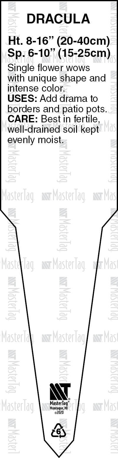 Celosia Dracula Master Tag Stake Tag