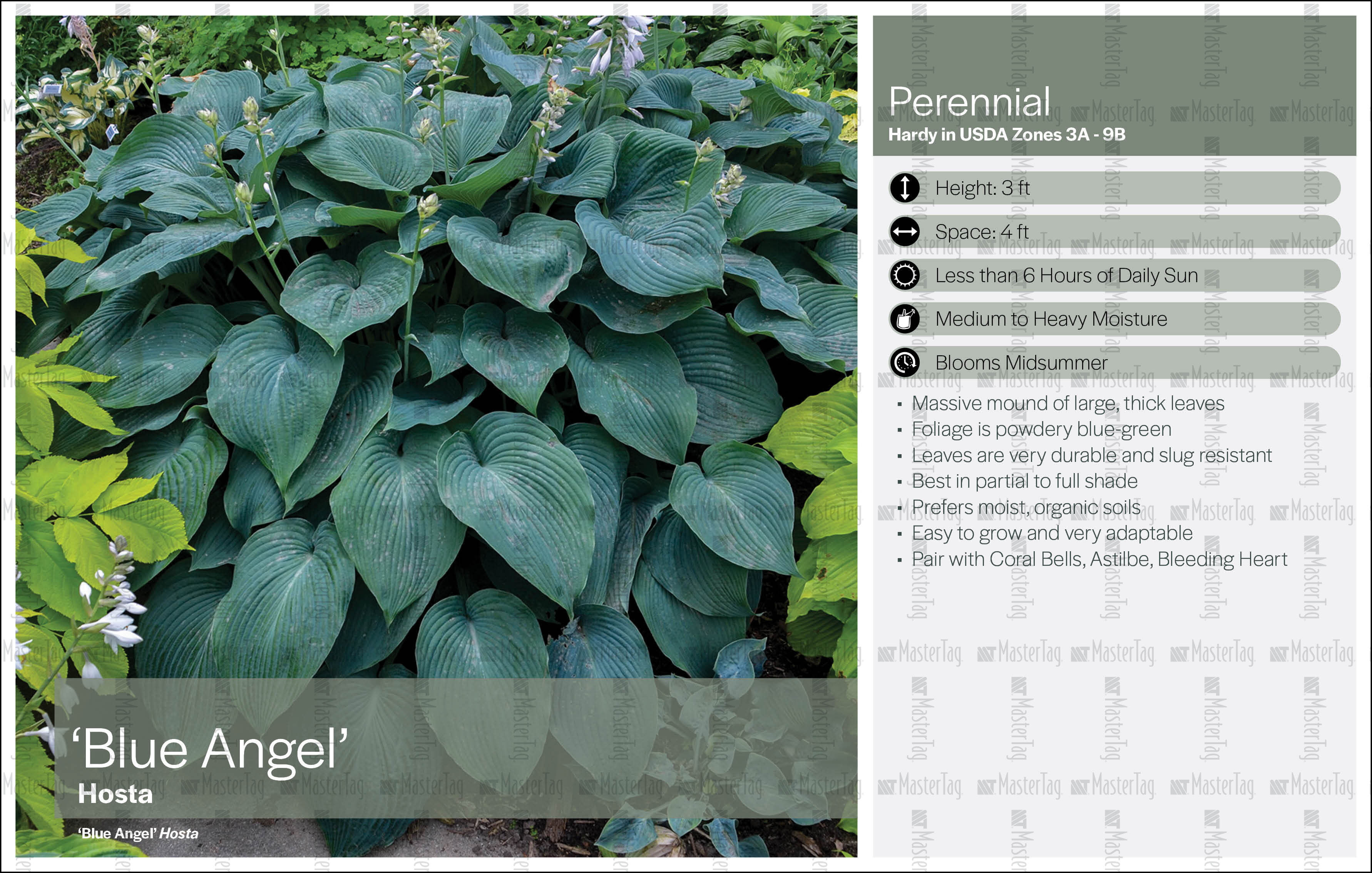 Plant Labels, Tags, Stakes Printer for Horticulture Industry