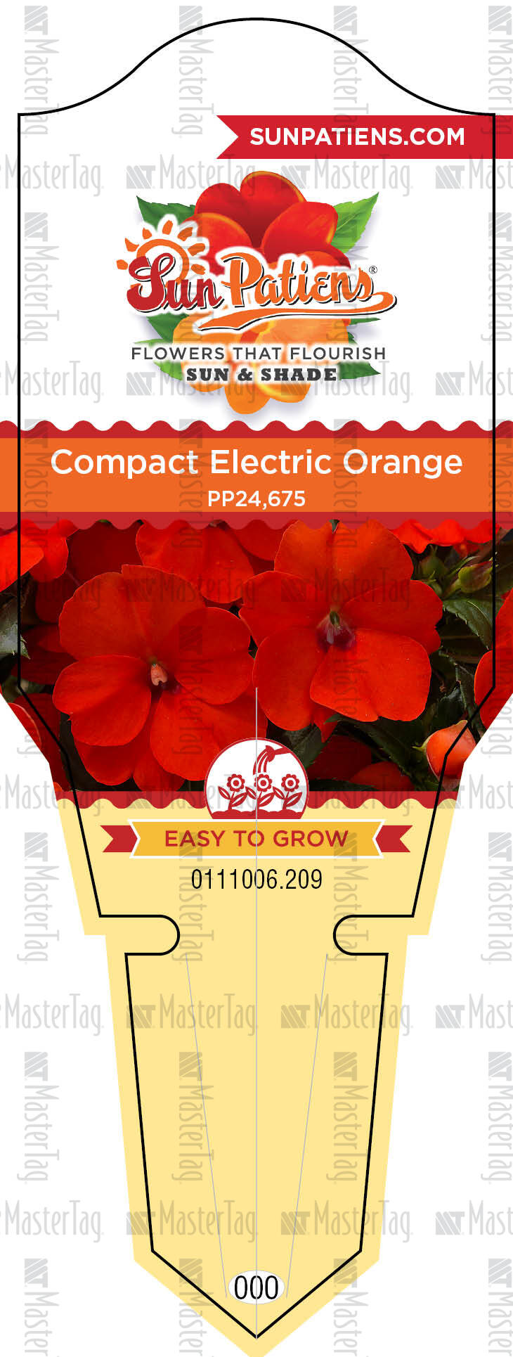 Impatiens SunPatiens® Compact Electric Orange Impatiens x hybrida hort ...