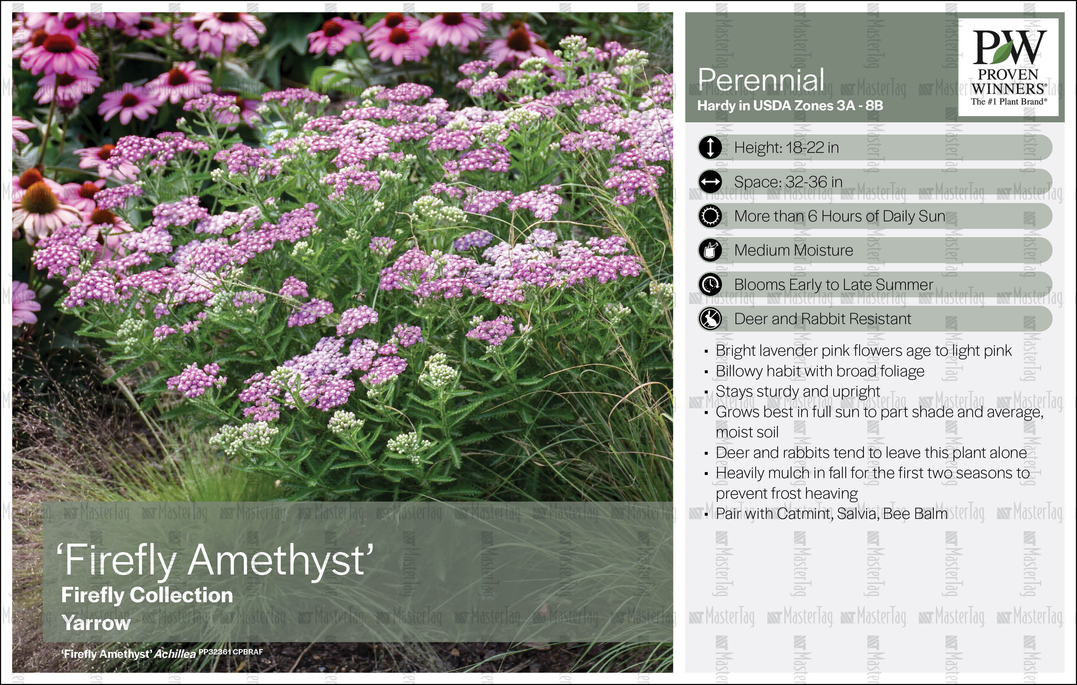 Plant Labels, Tags, Stakes Printer for Horticulture Industry