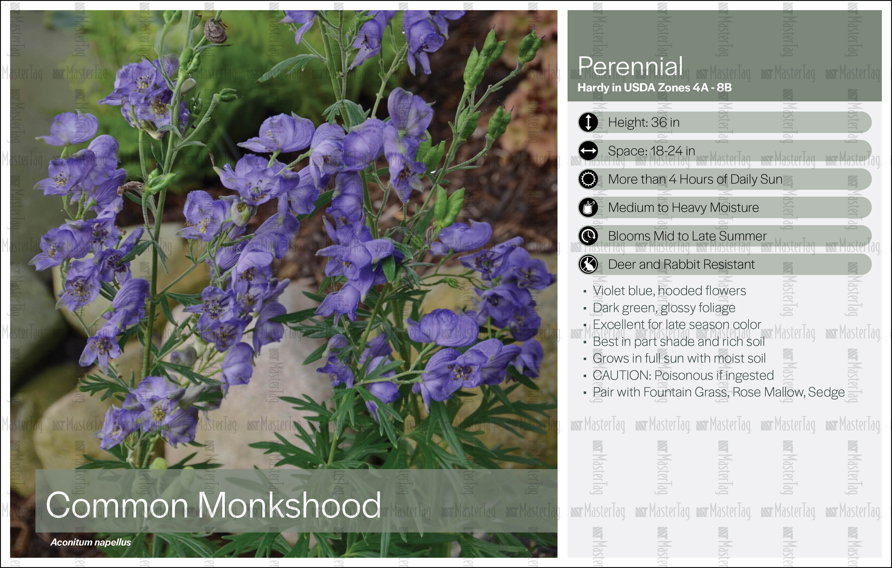 Plant Labels, Tags, Stakes Printer for Horticulture Industry