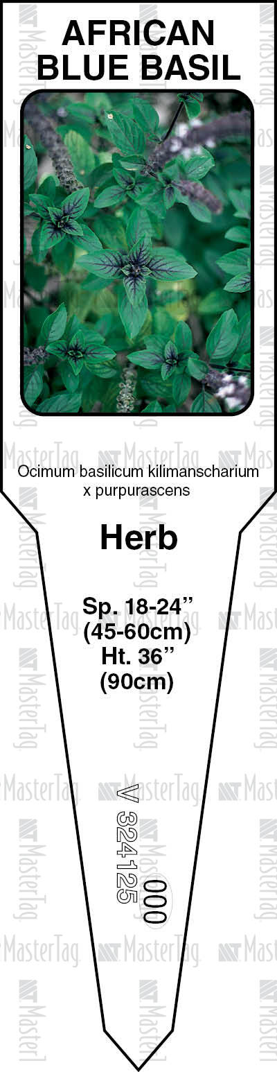 African Blue Basil Master Tag Stake Tag