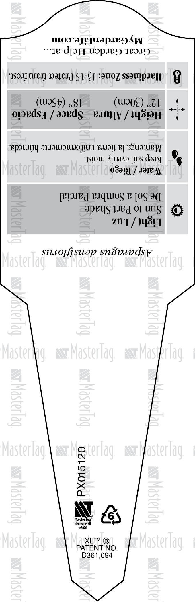 Asparagus Fern 'Sprengeri' Universal XL Stake Tag