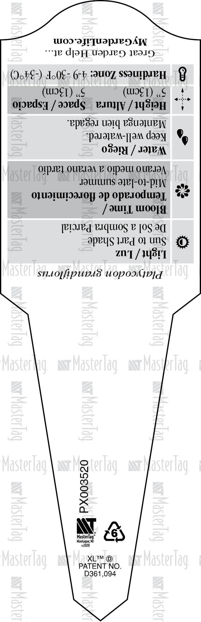 Balloon Flower 'Astra Pure White' Universal XL Stake Tag