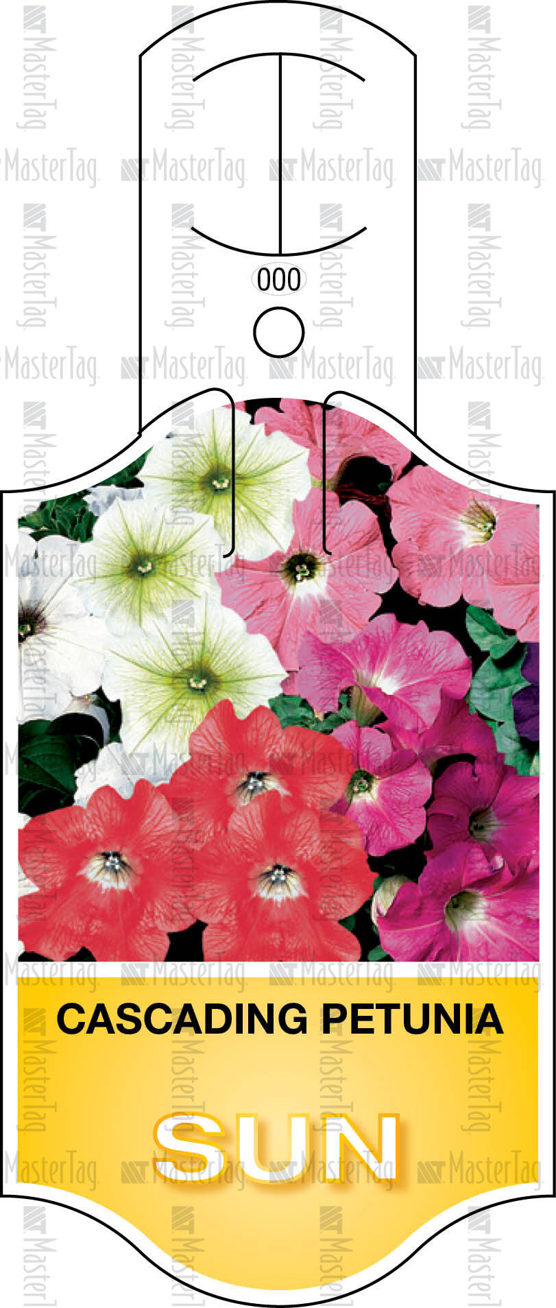Cascading PetuniaSmall XL Hang Tag