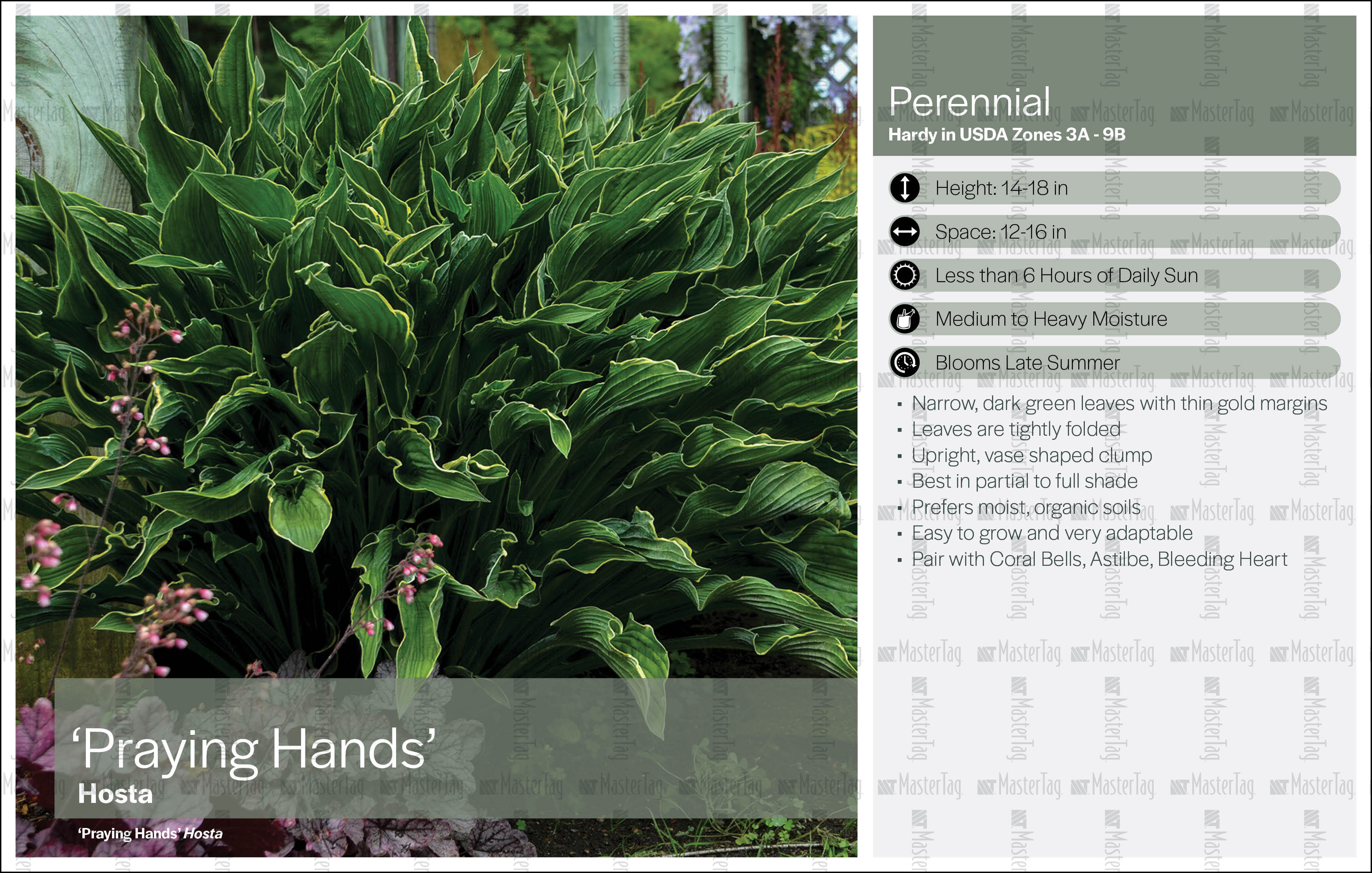 Plant Labels, Tags, Stakes Printer for Horticulture Industry