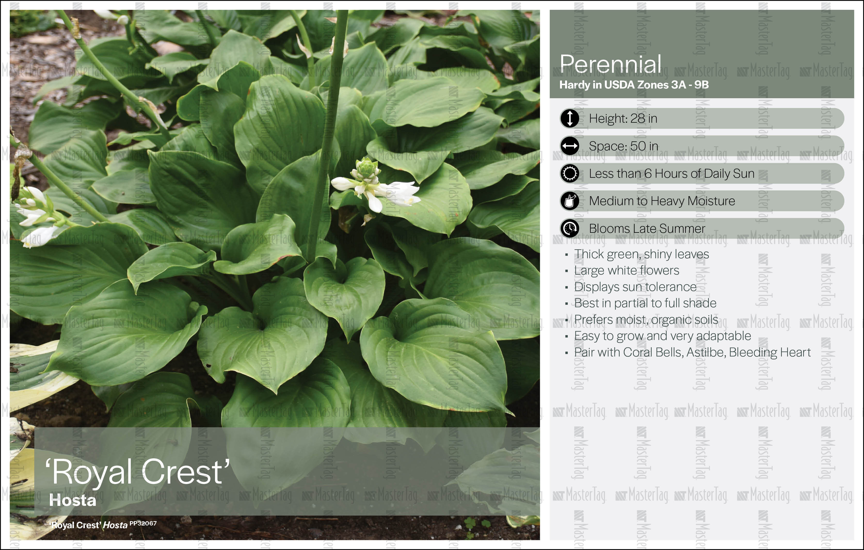 Plant Labels, Tags, Stakes Printer for Horticulture Industry