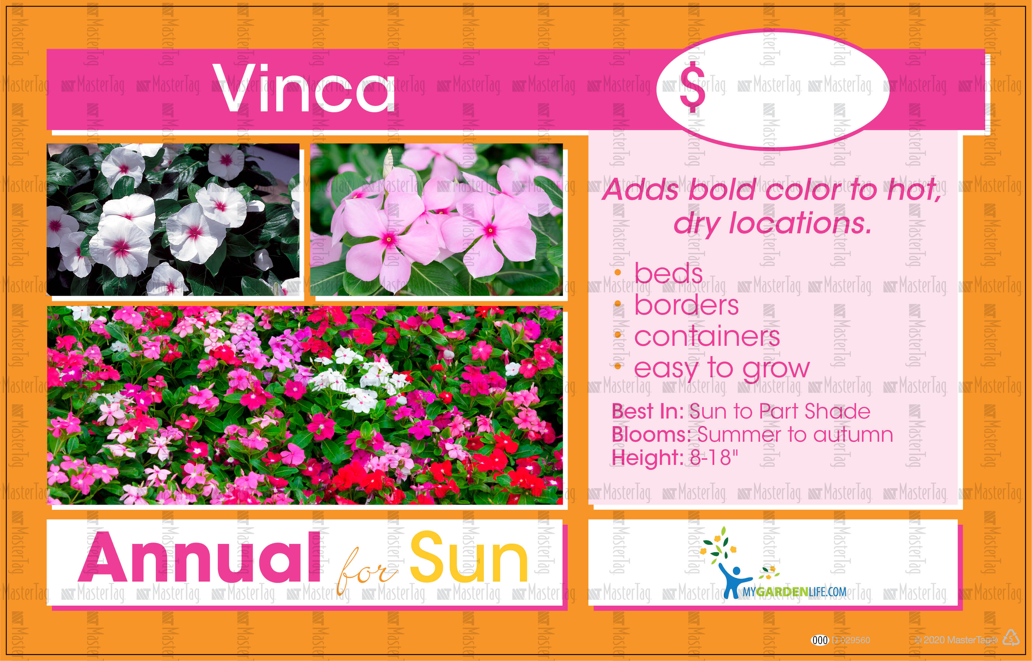XL™ Designer Series Vinca Display Card