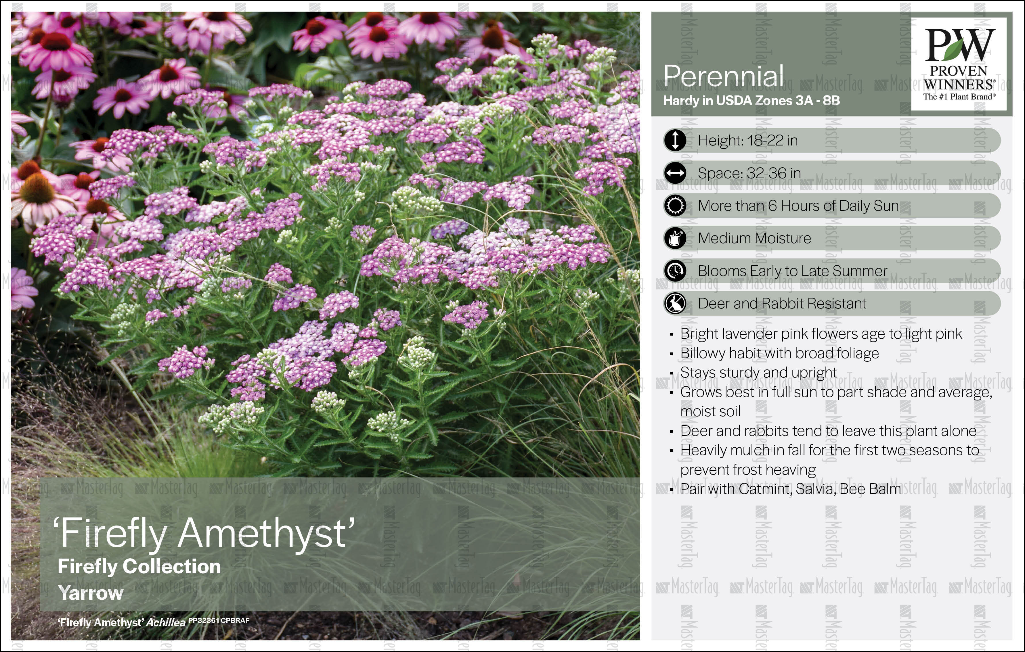 Plant Labels, Tags, Stakes Printer for Horticulture Industry